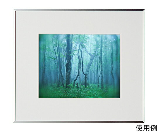 ●写真展では定番な作品額。フォーマルな場所にも最適です。●シンプルなフレームと厚手Vカット台紙が作品を際立たせ、ゆったりと作品を鑑賞できます。●額縁外寸法（mm）：325×376●台紙外寸法（mm）：322×373●台紙窓抜き寸法（mm）：...