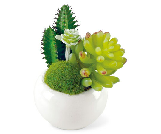 ●コンパクトなグリーンをお部屋にプラスワン。●置くだけ、空気をキレイにするアーティフィシャルグリーン●まるで本物のように繊細に作られた人工の観葉植物●水やりなどのお世話いらずでお手軽にグリーンのある暮らしが叶います●CT触媒加工を施している...