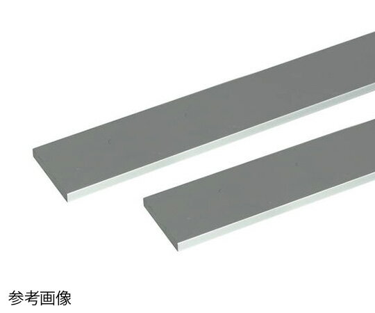 ●一般的に使用頻度の高いアルミ素材■仕様●重さ：440g●サイズ：2000×2.0×20mm●カラー： シルバー●入数：1組(2本入)●コード番号：03100684