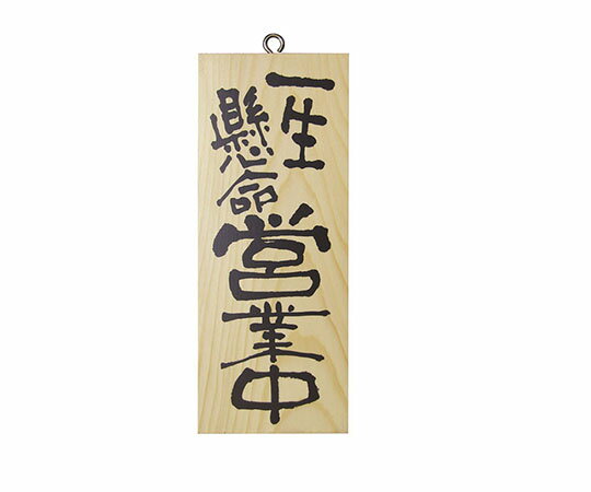 ■仕様●外寸（横×縦）：100×250mm●厚さ：15mm