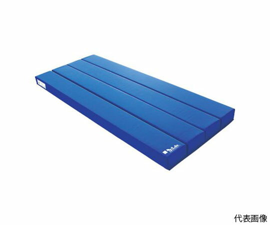 ●軽くて丈夫、商品を傷つけずに安全に運べます。●繰り返しの衝撃に強く、欠け、割れに強く長期間使用可能です。●精密機器の輸送に。●荷物の輸送時に。■仕様●幅（m）：0.4●長さ（m）：1.2●色：ブルー●厚さ（mm）：50●巾100mm×4本...