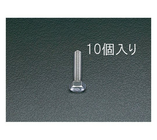 ●材質：ステンレス（SUS304）●並目ねじ●全ねじ●サイズ：M10×50●頭対辺：17mm●入数：10個