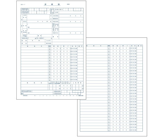 ●カルテ1号用紙です。●寸法：A4 縦297×横210mm●材質：上質紙●紙厚：90kg●刷色：青
