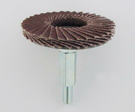 ●小型のジスク型サンダーです。●狭い箇所の研削、研磨に力を発揮します。●金属、木材とあらゆるワーク材の研削、研磨に使用されます。●外径(mm)：50●軸径(mm)：6●粒度：#100●最大許容回転数(min-1)：3,000