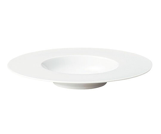 ●直径×高さ（mm）：288×39●材質：磁器●カタログコード：8-2292-0801●商品番号：REC1101