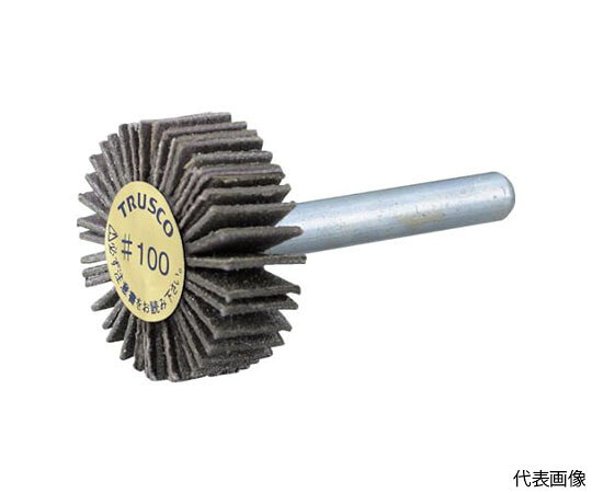 トラスコ中山 ダイヤ軸付フラップホイール　オールダイヤ　Φ50X軸径6　180# P-DF5020-6A 180 1個●ガラス、石材など非鉄金属用。高い研磨力で精密仕上げができます。●電着本格ダイヤシートを使用しています。●難削材の表面研磨...