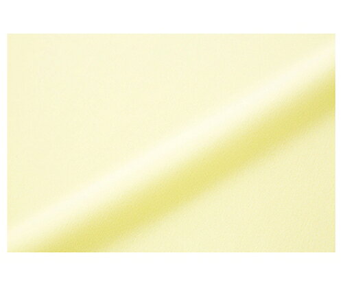 ケアファッション スムース防水シーツ(ダブル) クリーム 145×180cm 39152-01 1枚●ゆったりダブルサイズの防水シーツ。●素材[表]：ポリエステル100％●素材[裏]：ポリウレタンラミネート加工●日本製