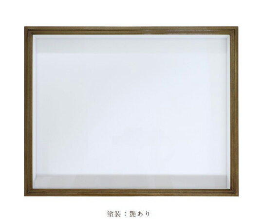 アズワン ほお材　N型　ドイツ箱（標本箱）　艶有　普通ガラス 255 1箱●取り外し部分（本体とガラスふたの隙間が0.025mm）が精密に設定しており害虫から標本を護ることならびに標本を長年にわたり保管することが可能です。●カラーはクラシッ...