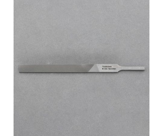 アズワン やすり（幅広/平/中目）6x160mm EA521TF-2 1本●角シャンクを採用することにより従来の丸シャンクでは実現出来なかった大きいサイズの替刃です。●全長：160mm●刃長：100mm●粗さ：中目●形状（mm）：平（11×...