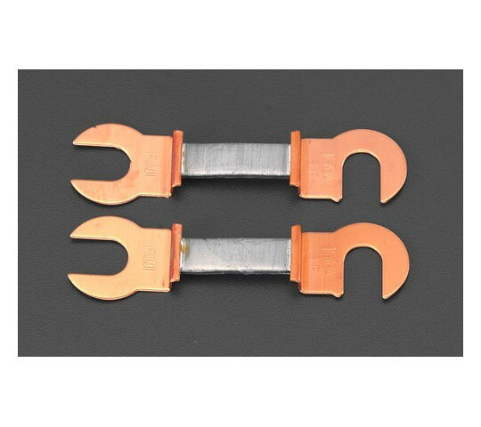 エスコ 銅つめ付ヒューズ(2本) 100A/55mm EA758ZP-7 1袋●2本価格●電流：100A●取付ピッチ：55mm●定格電圧：250V●可溶片鉛合金●低圧電路の過電流保護用●コード品番：EA758ZP-7