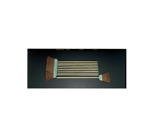 エスコ 1220mmほうき(シダ・10本組) EA928AD-10 1組●土間、セメントなどの床に向いています。●全長：1220mm●毛丈：170mm●穂先幅：230mm●穂先：シダ●柄：カラー鋼管●入数：10本●天然繊維でコシが強い