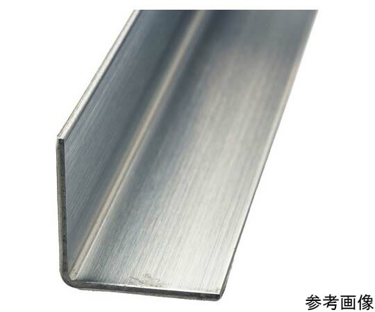 泰豊トレーディング ステンレスアングル 1.0×12×1000mm 17168 1個●補修やDIYなどに適した金属素材です。●サイズ：1.0×12×1000mm●材質：ステンレス