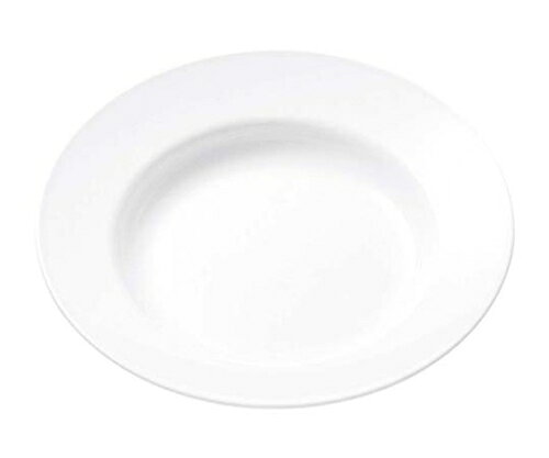 ●イベントなどでリユース食器として注目されています。●容量：260ml●外寸1（mm）：φ225×H35●材質1：ポリプロピレン●コード番号：7724350