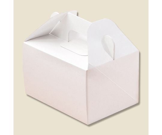 ●今までほとんど廃棄されていたパームヤシの実から油を採った後に残る「パームヤシカサ」が原料です。 内側を耐油加工しており食品を直接入れられます。 電子レンジ不可●サイズ：縦105×横150×高さ90mm●入り数：20個/外袋