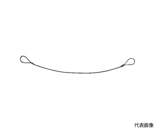 ●両端アイ加工済みですぐに使えます。●細くても強度があり目立ちません。●キャップやカバーなどの紛失防止の連結金具。●看板などの吊り下げ。●ロープ径（mm）：2.5●長さ（mm）：300●使用荷重（kg）：100.0●カットワイヤー 2.5X...