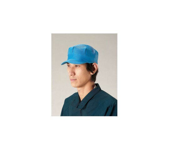 商品名:エスコ [M] 作業用キャップ(ブルー) 1個 EA915E-21●材質：綿100％●カラー：ブルー●サイズ：M●頭周り（目安）：約56cm（紐で±2cm調整可能）●コード品番：EA915E-21