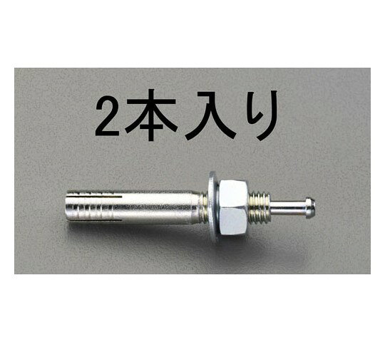 商品名:エスコ M16x190mm 雄ねじアンカー(2本) 1パック(2個入) EA945BA-164●芯棒打ち込み式●本体に挿入された芯棒をハンマーで打込むことにより本体先端が拡張し、コンクリート孔壁に固着します。●施工に特殊な工具を必要...