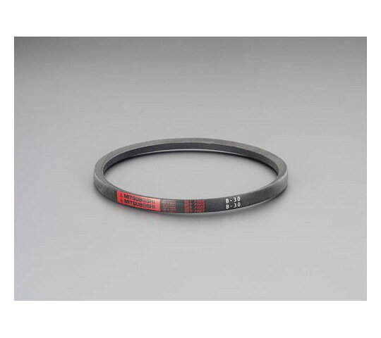 商品名:エスコ B108 高負荷伝道ベルト(レッドVベルト) 1本 EA967BR-108●規格：B108●有効ピッチ長さ：2743mm●心線は高延伸処理の高張力ポリエステルロープを使用しています。高馬力伝動用に適し、耐熱、耐油、難燃、静電...