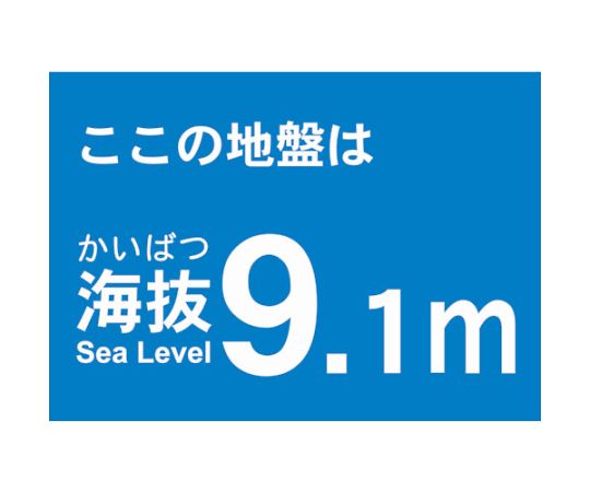 ●屋内外使用可能です。●取付仕様：粘着シール●縦（mm）：120●横（mm）：170●表示内容：ここの地盤は海抜9.1m●取付方法：貼付タイプ●縦×横：120×170mm●材質／仕上：塩化ビニール（PVC）●注意：貼り付ける面のゴミ・油等を...