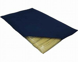 商品の仕様 ●サイズ／幅68.5×長さ117×厚さ2.2cm ●重さ／18kg ●材質／本体：アクトンドライポリマー（液体成分を含まない超柔軟性特殊素材でポリウレタンの一種）、フィルム：ウレタンフィルム、カバー：ポリエステル100％ ●カラ...