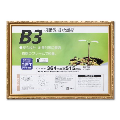 樹脂製(シュリンクパック)ゴールド/B3/J045B4400・Size:B3Style:樹脂製(シュリンクパック)・パッケージ個数:1・本体寸法:41.3×56.4cm・表面材:PET(ペット)シート・フレーム材:樹脂製・吊カン・吊紐付き・...
