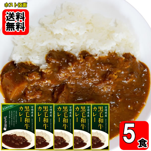 宮崎県産黒毛和牛カレー 宮崎県産の黒毛和牛と野菜とスパイスをじっくり煮込で美味しいコクを生み出しました。宮崎県産の黒毛和牛ならではの繊細な旨味をご堪能ください。 ポイント消化にオススメ！ ポスト投函のメール便送料無料お試しセットです！ ◆内...