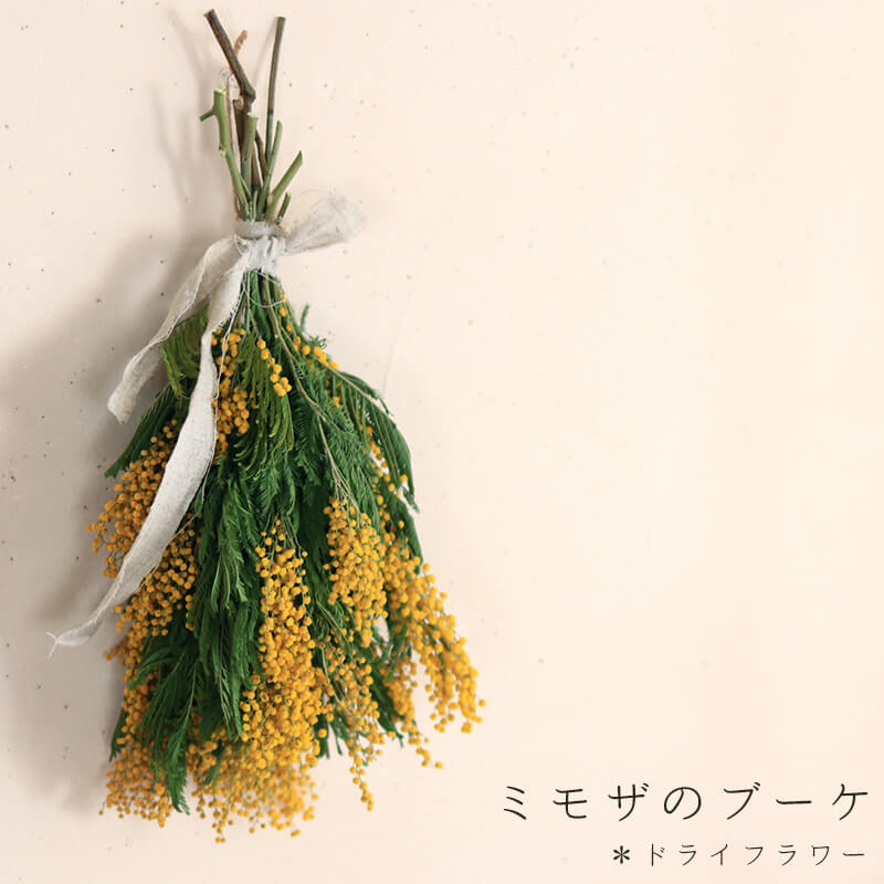 ◆離島・沖縄県へお届けの場合は送料別途500円発生します。ご了承くださいませ。 売り切れの際は【再入荷のお知らせ】ボタンに登録いただくと入荷の際にメールでお知らせします。 春だけの黄色。 ポンポンかわいい黄色が人気のミモザのドライフラワーを...
