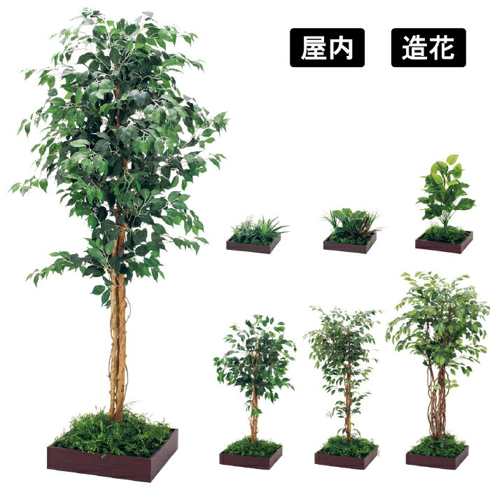 注意事項※屋外でのご使用はできません。風によるグリーンの抜けや、水がたまることで腐食の原因となります。 ※直射日光の当たる場所でのご使用も、色褪せの原因となりますのでご注意ください。 ※大型商品のため軒先渡しでのお届けとなります。 ※枝や葉...