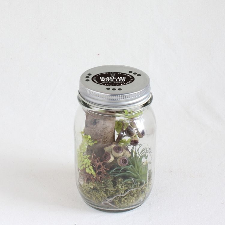 　※image photo SPICE OF LIFE LEDガラスジャー アレンジ ジャングル Sサイズ 日々の中で見過ごしてしまっている小さな物事にスポットライトをあてよう メンテナンスいらずなドライ植物と造花のエアプランツ。 ふたに仕...