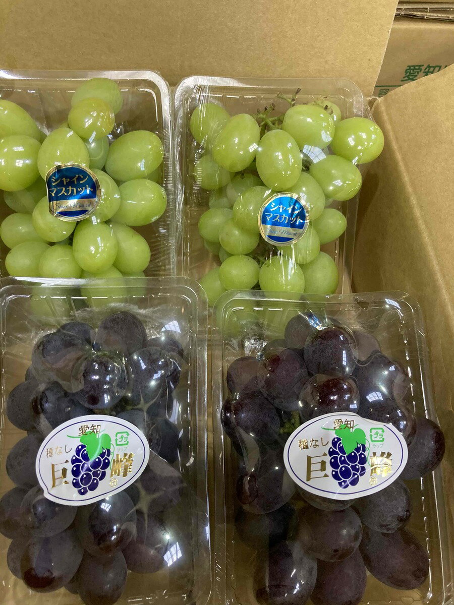 シャイン・・・種なしで皮ごと食べられます。 　　　　　　　高貴な香り！ 巨峰・・・・・甘くて美味しい！国産　種なしシャインマスカット300gX2、　　　　　　　　　　　種無し巨峰300gX2 シャイン・・・種なしで皮ごと食べられます。　　　...