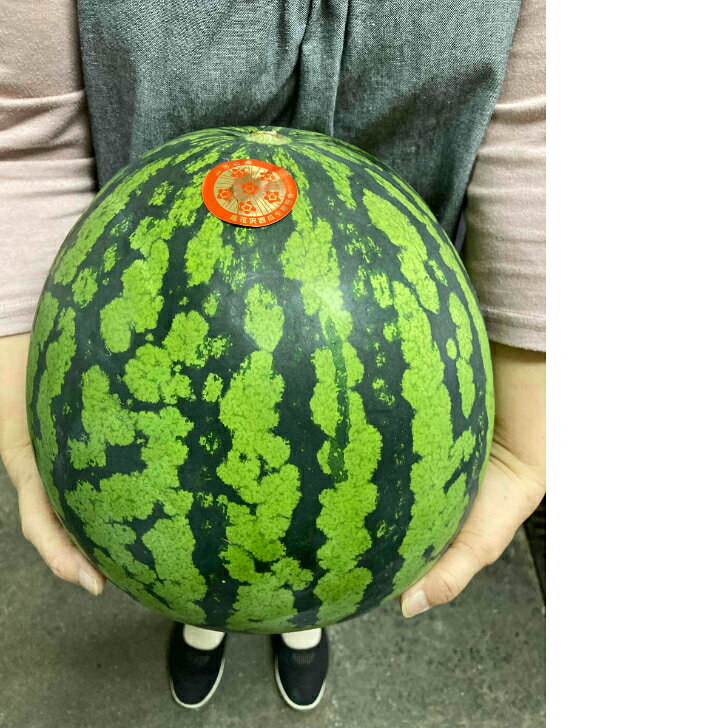 山形　尾花沢のスイカ　MA、M（10kg前後）2玉入りクール便で送るので着いたら、すぐに冷えた西瓜が食べれます 昼夜の温度差が甘みと美味しさを作っていますシャリ感も尾花沢スイカの特徴 甘さ保証！！尾花沢のスイカは甘くて、シャリシャリで有名で...
