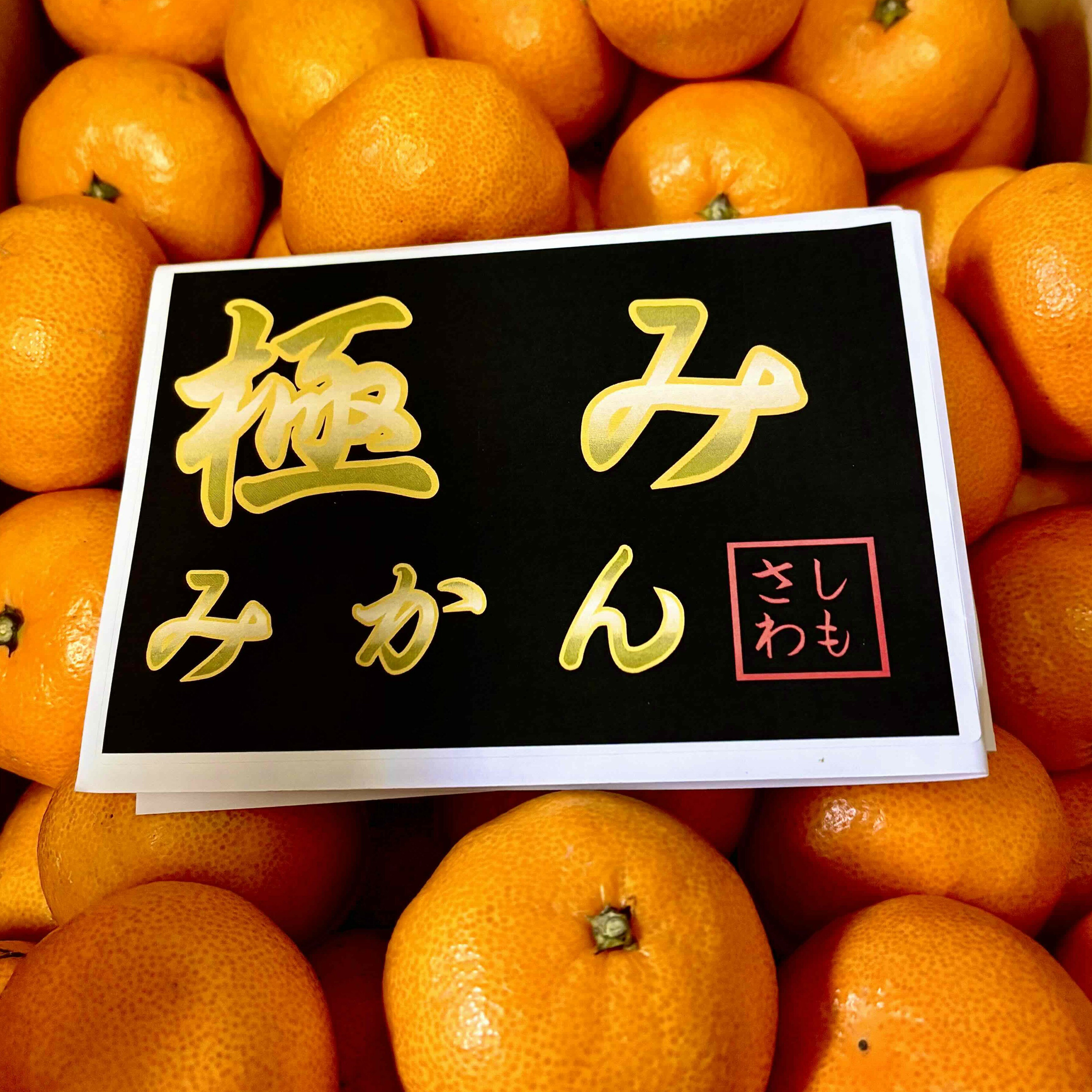 極みみかん（個人農家）　SSサイズ　約8kg三ケ日・浜名湖・蒲郡・豊橋産 個人農家のみかんです。当店のおすすめです！小粒ですでも、味は一番美味しい！！写真はイメージです商品を保証するものではありません 個人農家のよりすぐった　みかん 味が均...