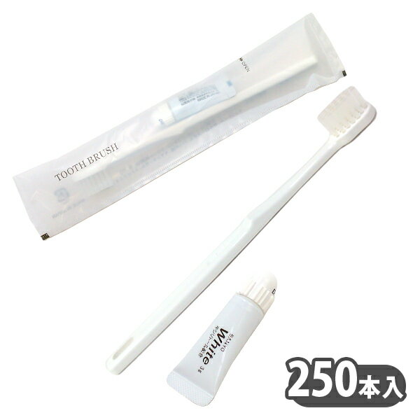 セット内容250本セット商品説明ヘッドが小さめなので磨きやすい歯ブラシと歯磨き粉のセットです。1つ1つ個包装されているので衛生的です。※一配送先へのお届けが5,000円(税込)以上の場合は、全国送料無料です。(但し沖縄・離島地域は別途追加送...