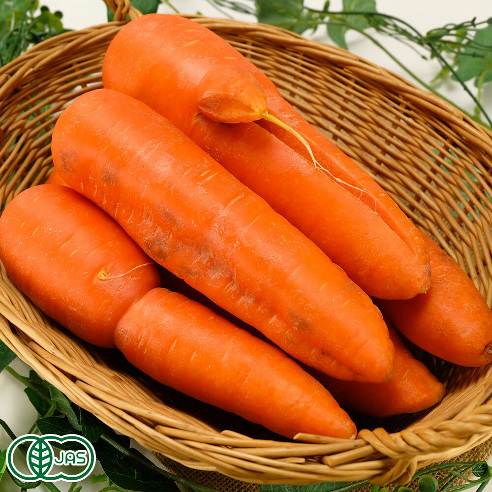 【北海道産農薬不使用のにんじんを送料無料でお届けいたします】 北海道の斎藤農場で栽培した、化学合成された農薬、肥料を一切使用しない有機JASの人参です。 ■　内容 有機ジャンボにんじん(洗い)　訳あり品20kg(L〜4L) ※こちらの商品は...