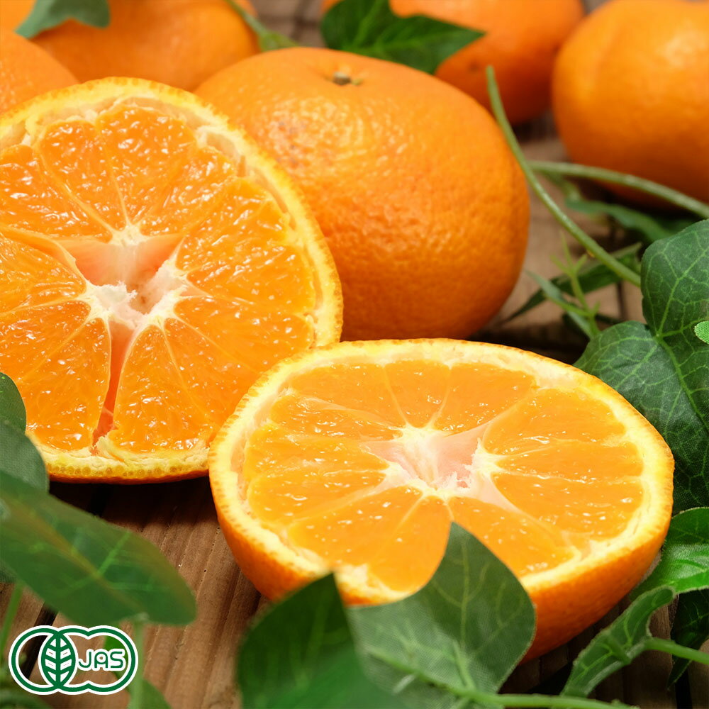 ◆この商品は受注収穫のため日付指定が行えません。また注文から出荷まで2〜4日お時間を頂いております。◆ 【 農薬・化学肥料を使わない有機JAS認定ミカン。果物の名産小田原から産地直送・送料無料でお届け!】 甘さと酸味のバランスが秀逸な本物の...