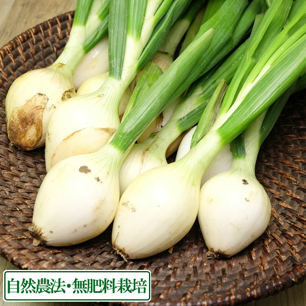 【自然農法、農薬不使用、完全無肥料栽培の淡路産、葉付き玉ねぎ】 ■　内容 葉付き玉ねぎ 約2kg×2箱 バラ詰め(5～8個×2箱) ■　商品説明 ・花岡農恵園は、淡路島のほぼ中央に位置し、自然に恵まれた農村地帯です。 ・自然農法、農薬不使用...