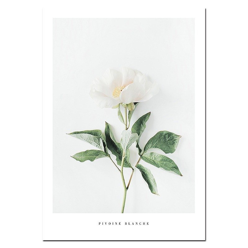 アートポスター でお部屋を演出！おしゃれなモノクローム写真のアート ポスターです！リビングルームや玄関など幅広くご利用いただけます！壁に飾っても、立てかけて飾ったりできます。ご注文前のご質問はお気軽に♪ 【サイズ】 オプションで選択可能です...