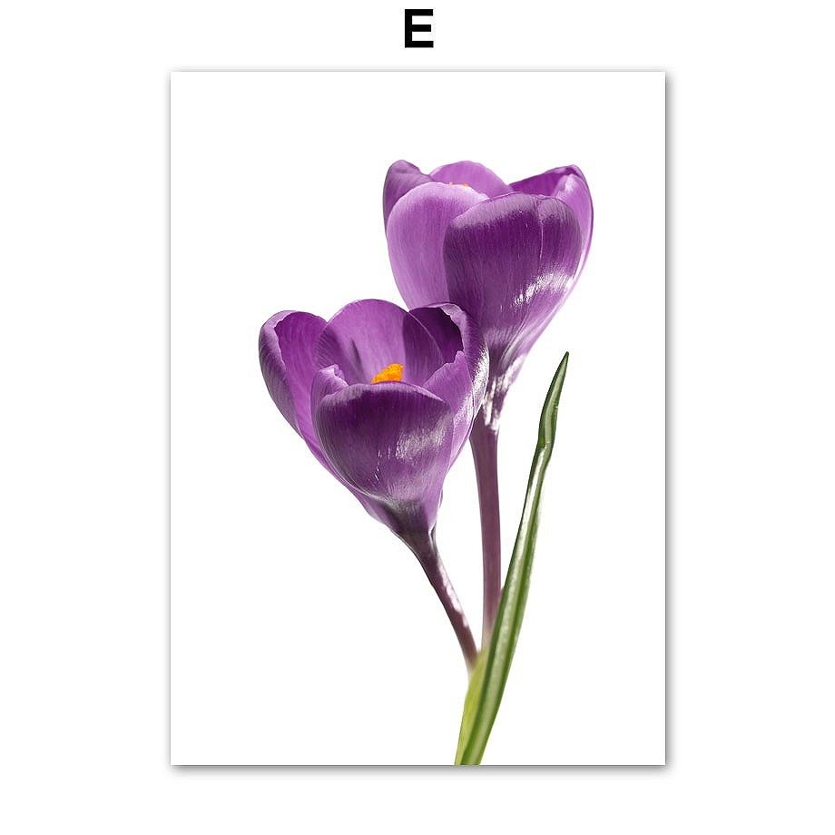 アートポスター でお部屋を演出！美しい花のアート ポスターです！リビングルームや玄関など幅広くご利用いただけます！壁に飾っても、立てかけて飾ったりできます。ご注文前のご質問はお気軽に♪ 【サイズ】 オプションで選択可能です。A2または、A3...