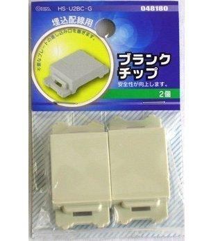 オーム電機(Ohm Electric) ブランクチップ 2個入り HS-U2BC-G 2入埋込用