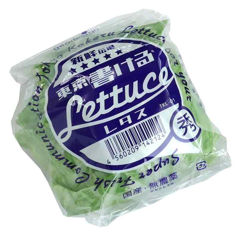 ジオデザイン メモ帳 東京書けるレタス TKL-01まるでレタスなメモ用紙レタスの立体再現のため紙にシワを折り込むという逆転の発想で成功裏面には薄くドットが印刷されています。【サイズ】約100×100×80mm【メモ枚数】 40枚