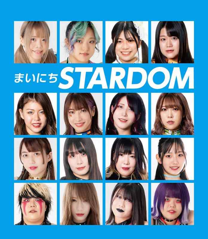 まいにちSTARDOM ([実用品])