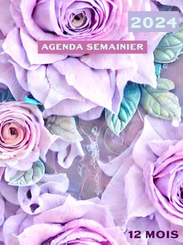 Agenda Semainier 2024-12mois: De Janvier 2024 à Décembre 2024, A4, Cadeau Pour Un Anniversaire, Ou Autres Fêtes Telles Q...