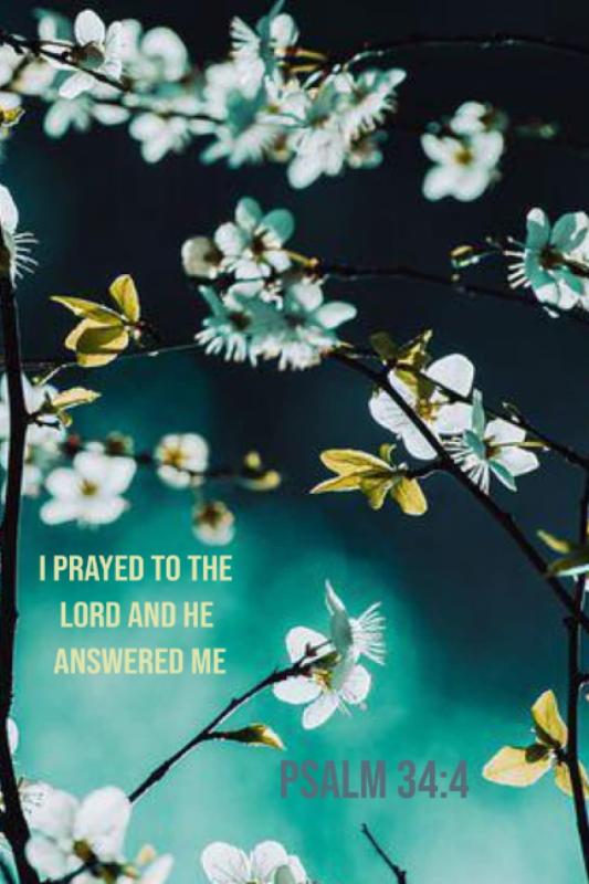 Prayer Journal | Inspirational Writing Notebook Gratitude Prayer Journal Bible Verse I Prayed to the Lord and He Answere...