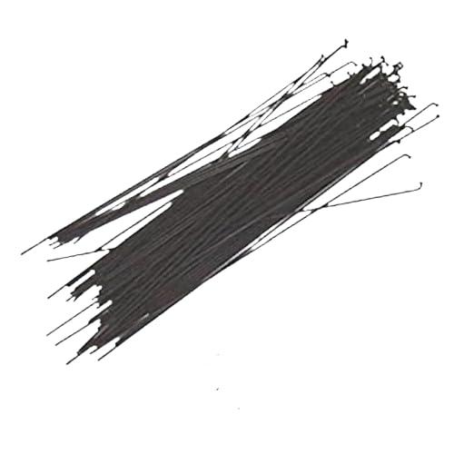 スポーク 黒SH（スモールヘッド）/14-SB 13X199 スターブライト 黒 36本スポーク 黒SH（スモールヘッド）/14-SB 13X199 スターブライト 黒 36本