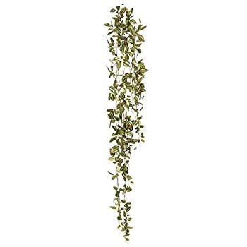 【中古】【輸入品・未使用】Vickerman FB171101 ハンギング ワンダリングジュー【メーカー名】Vickerman【メーカー型番】FB171101【ブランド名】Vickerman【商品説明】Vickerman FB171101 ...