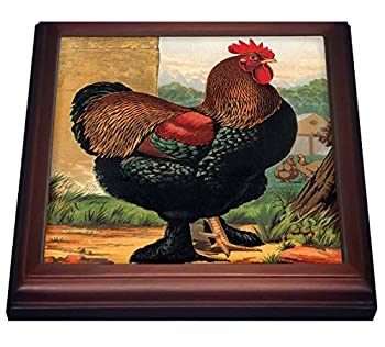 【中古】【輸入品・未使用】3drose BLNヴィンテージRoosters and Hens???Vintage Partridge Cochin Rooster、ダークグリーンとブラウン???五徳 8 x 8%ダブルクォーテ% trv_2...