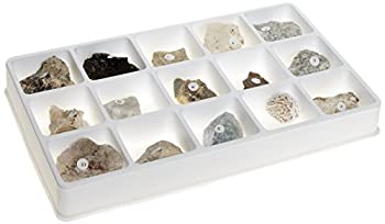 【中古】【輸入品・未使用】American Educational 15 Piece Fluorescent Minerals Short and Long Wave Collection [並行輸入品]【メーカー名】American Pa...