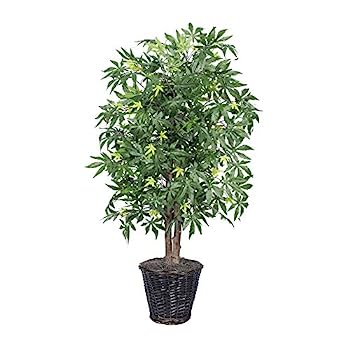 【中古】【輸入品・未使用】Vickerman Everyday 4フィート 人工日本のカエデの木 籐のバスケット入り - リアルな屋内の緑色の装飾 - フェイク鉢装飾 自宅やオフィスのアクセントに【メーカー名】Vickerman【メーカー型...