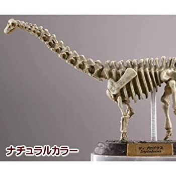 【中古】カプセルQミュージアム 恐竜発掘記6 恐竜全身骨格展示室 ［5.ディプロドクス(ナチュラルカラー)］(単品)【ジャンル】食玩【Brand】海洋堂(KAIYODO)【Contributors】【商品説明】カプセルQミュージアム 恐竜発...