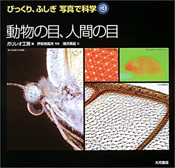 【中古】動物の目、人間の目 (びっくり、ふしぎ写真で科学)【メーカー名】大月書店【メーカー型番】滝沢 美絵【ブランド名】【商品説明】動物の目、人間の目 (びっくり、ふしぎ写真で科学)当店では初期不良に限り、商品到着から7日間は返品を 受付け...